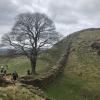 Middle Aged Adventure